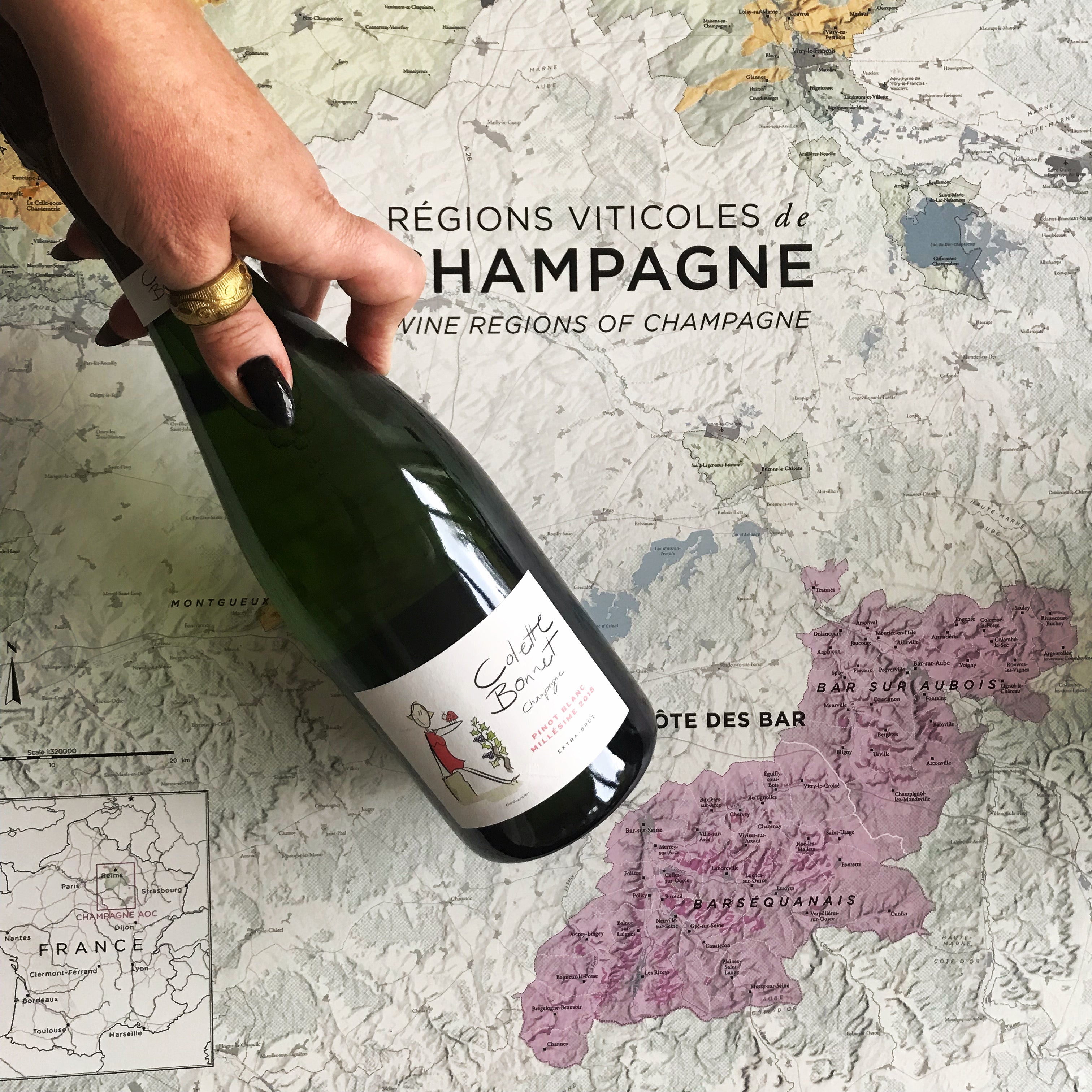 Cuvée Pinot Blanc Millésime 2018 Extra Brut Bio - Champagne Colette BO ...